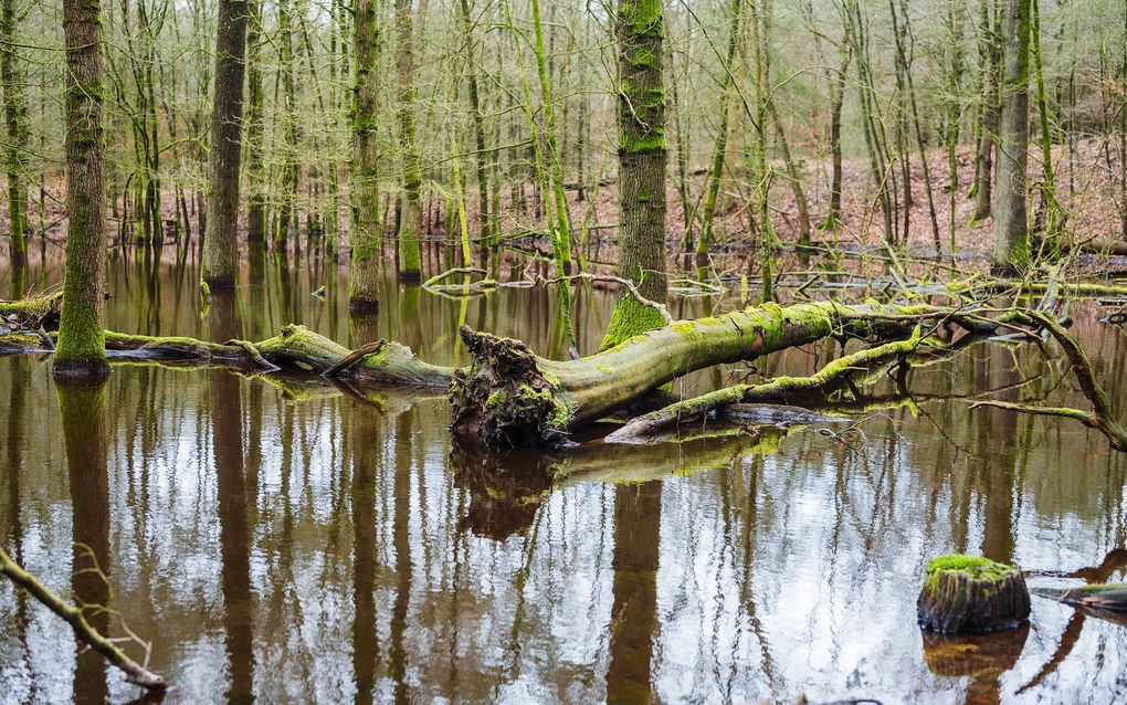 Maarten Veldhuis bij de Leuvenumse Beek: Het is elke keer weer thuiskomen